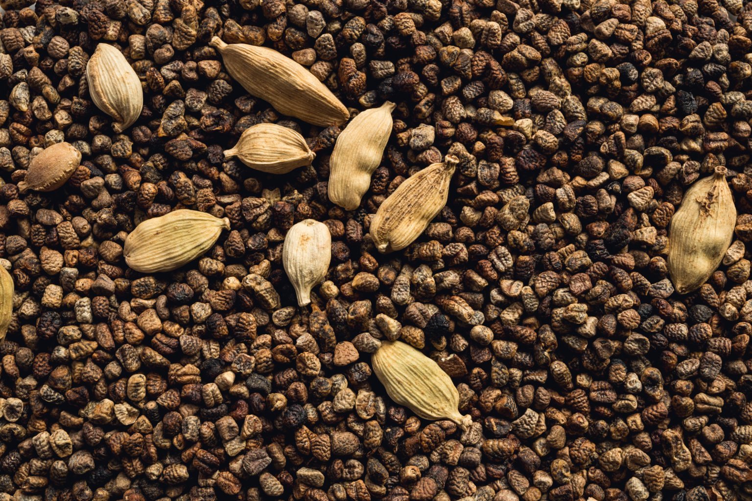 Carda what? Cardamom! The spice with the weird name - Wilden Herbals ...